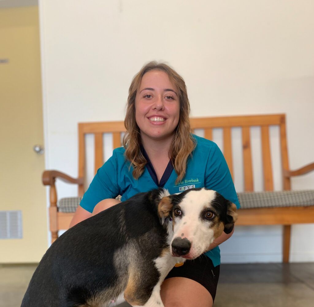 Meet The Team - Vets on Riverbank