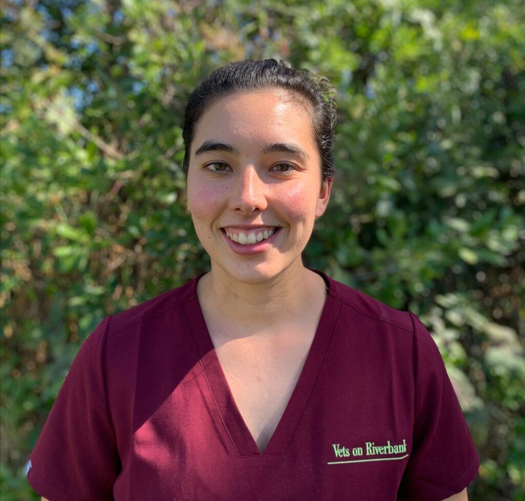 Meet The Team - Vets on Riverbank