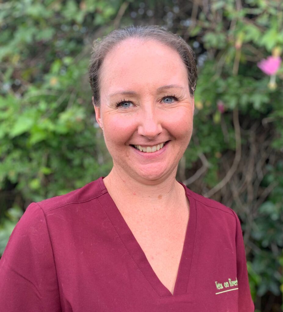 Meet The Team - Vets on Riverbank